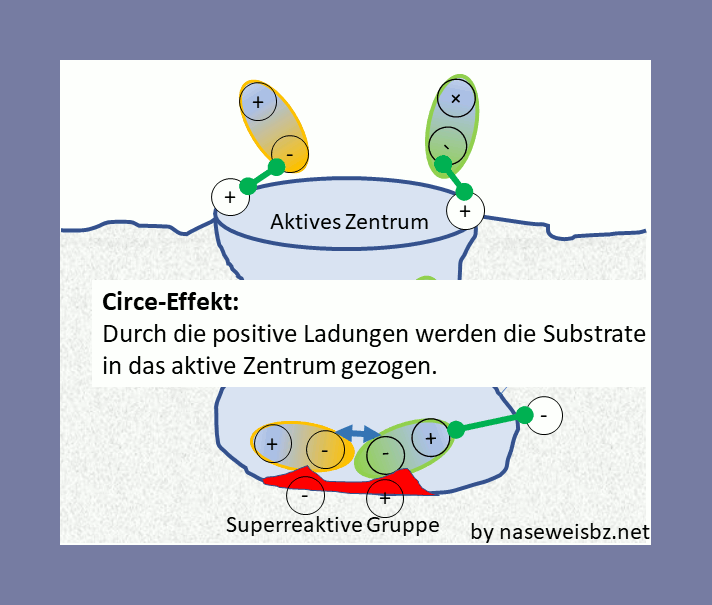 Proteine – Motor des Lebens – Naseweis